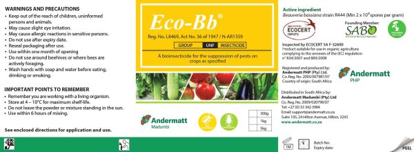 Eco-Bb | Andermatt
