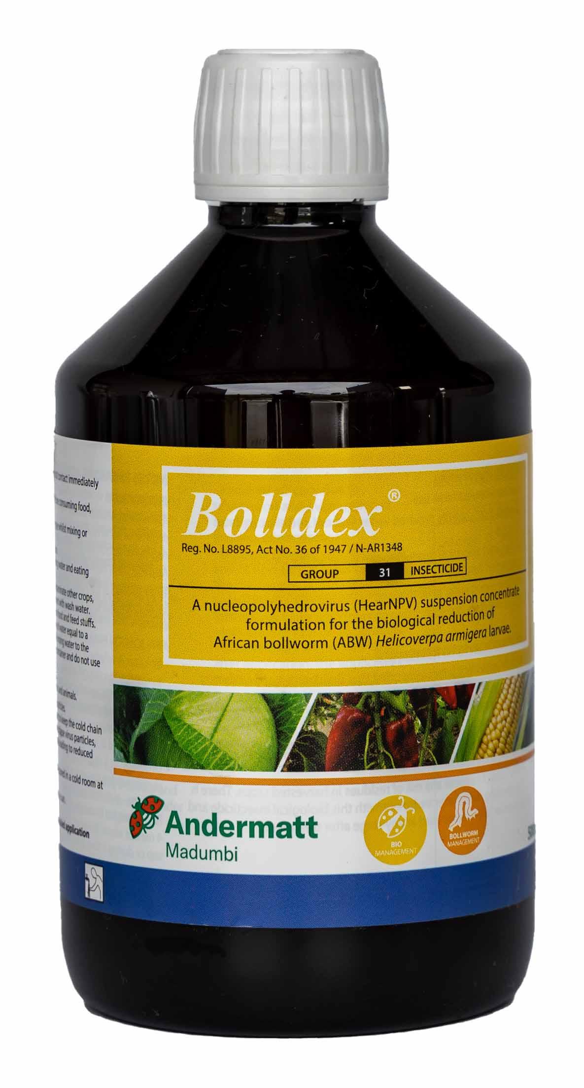 Bolldex | Andermatt