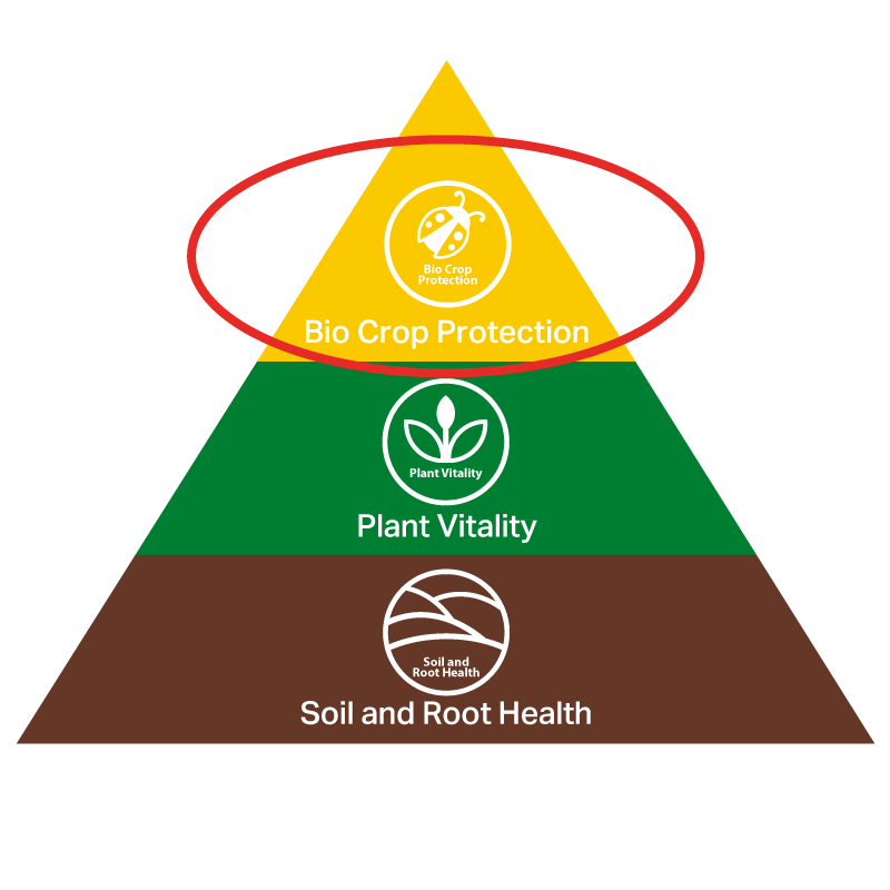 Bio Crop Protection | Andermatt