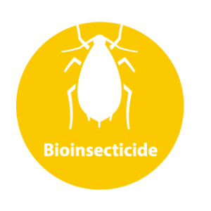 Bio Crop Protection - Andermatt Madumbi