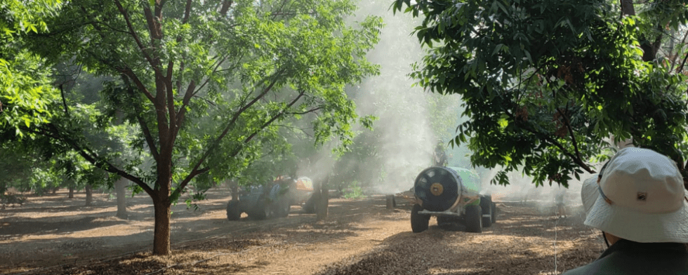 Did you know? – A glance into the Pecan Industry of South Africa ...