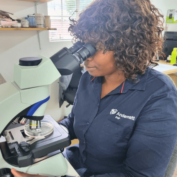 CFU’S Got You Confused? - Andermatt