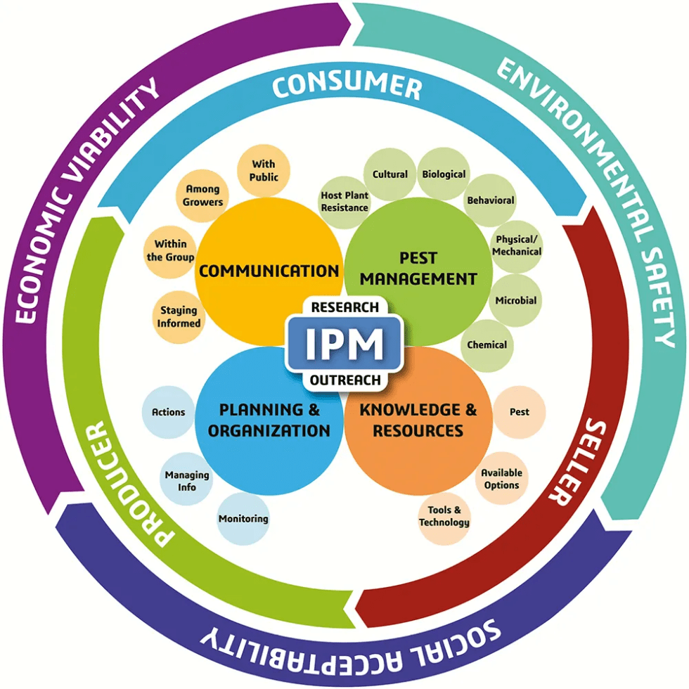 Integrated Pest Management (IPM) | A Sustainable Approach to Farming | Andermatt Madumbi